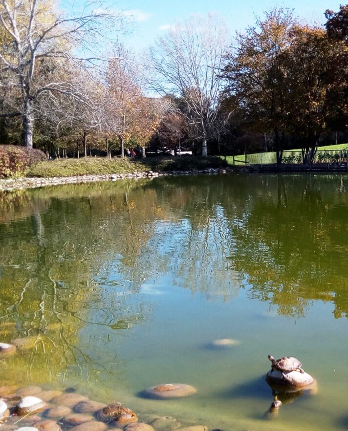 I parchi a Padova: tutte le gradazioni del verde I apartmentspadova.it