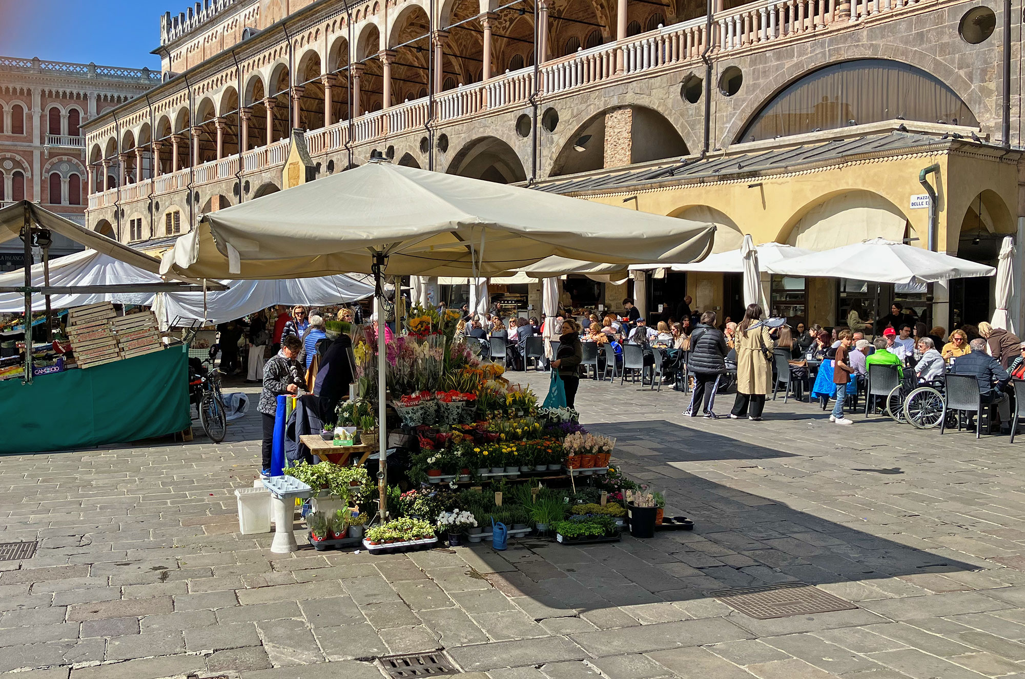 Osterie e nuovi Street Food nel Centro Storico di Padova - apartmentspadova.it
